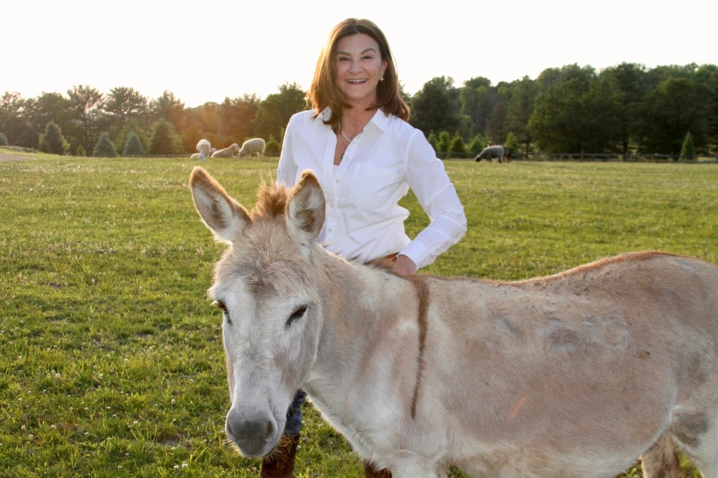 Meet Jamie – Sold By Stamos Properties